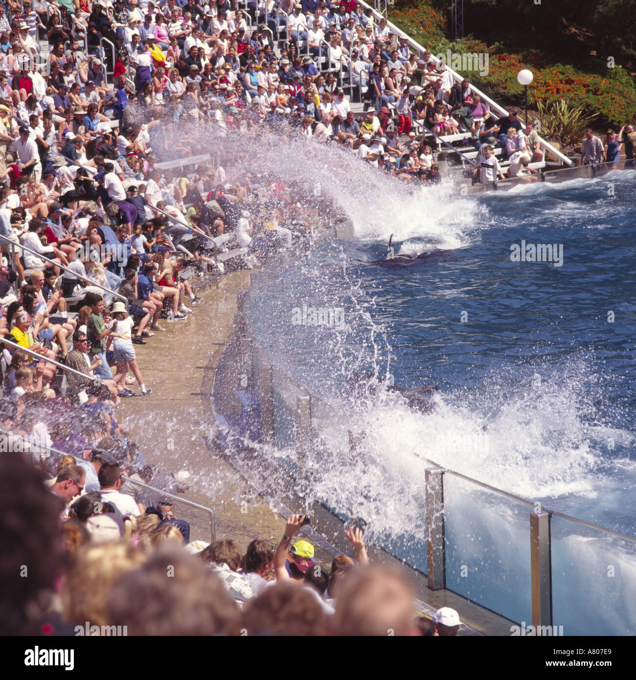 Crowds getting wet hi-res stock photography and images - Alamy