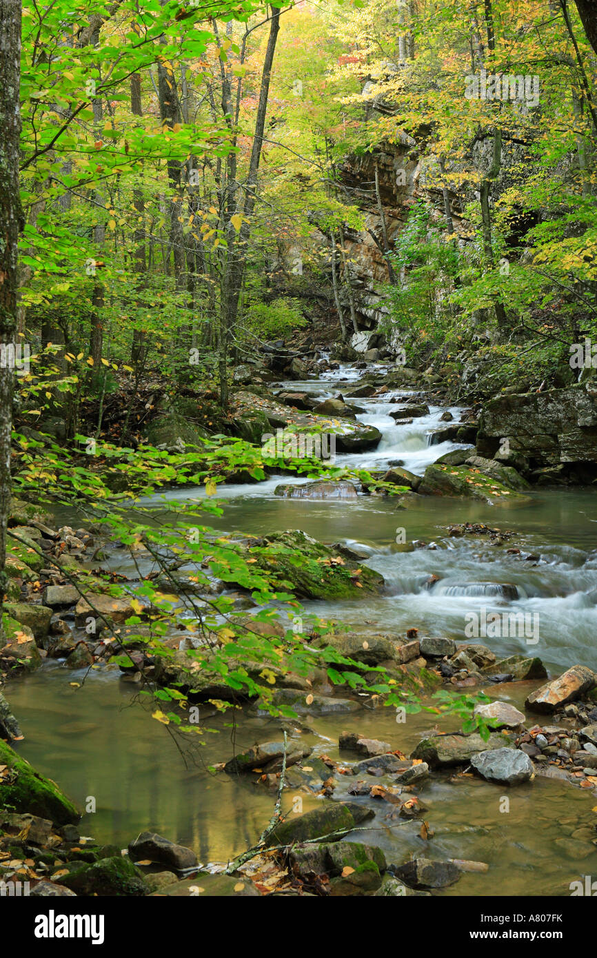Roaring Run creek in autumn, Roaring Run, Jefferson National Forest ...