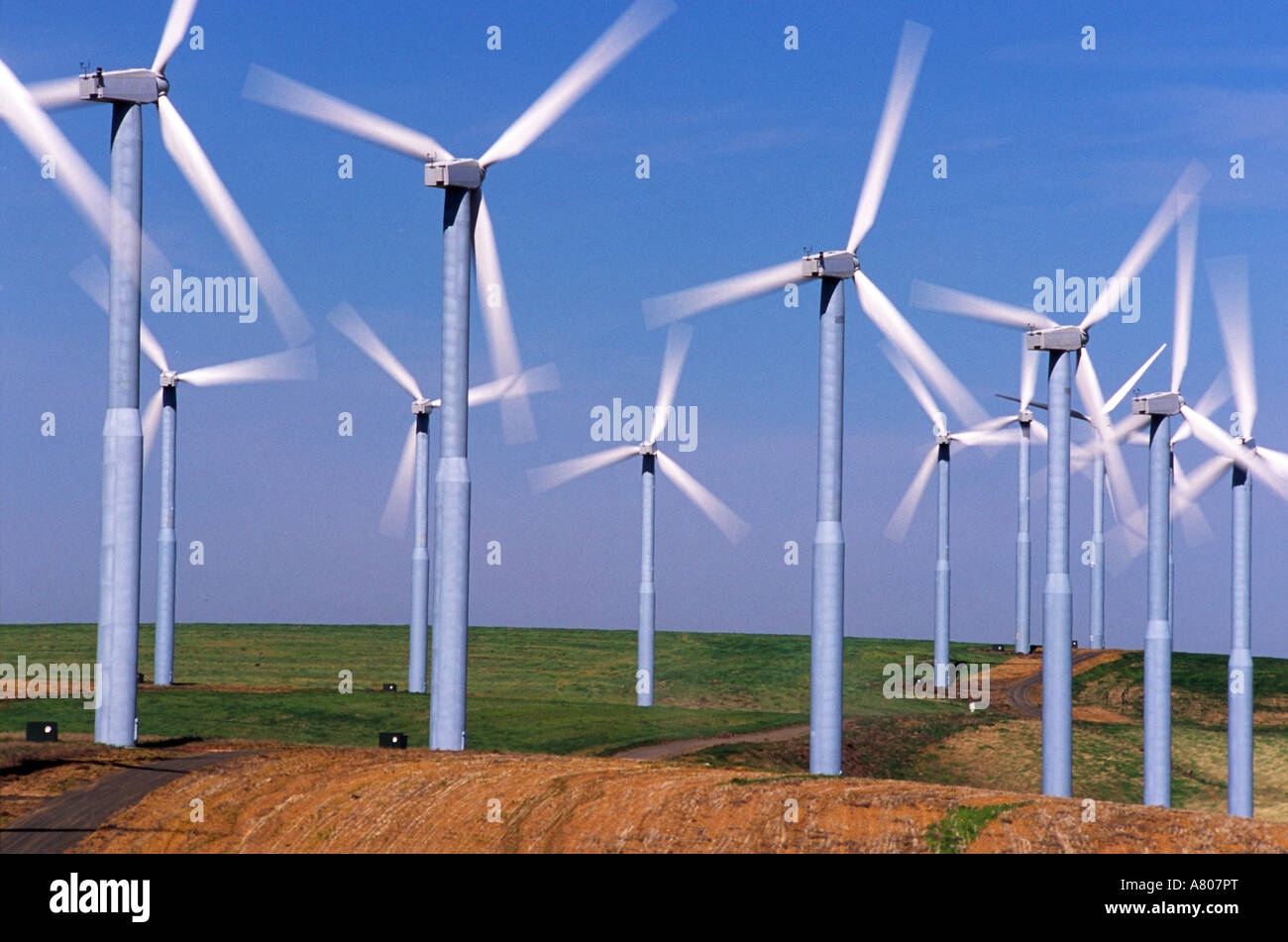 USA, Washington State. Stateline Project's 242ft upwind wind turbines ...