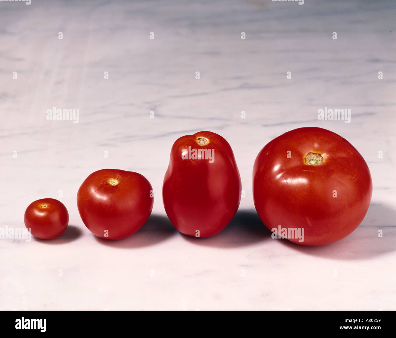 Standard sizes hi-res stock photography and images - Alamy
