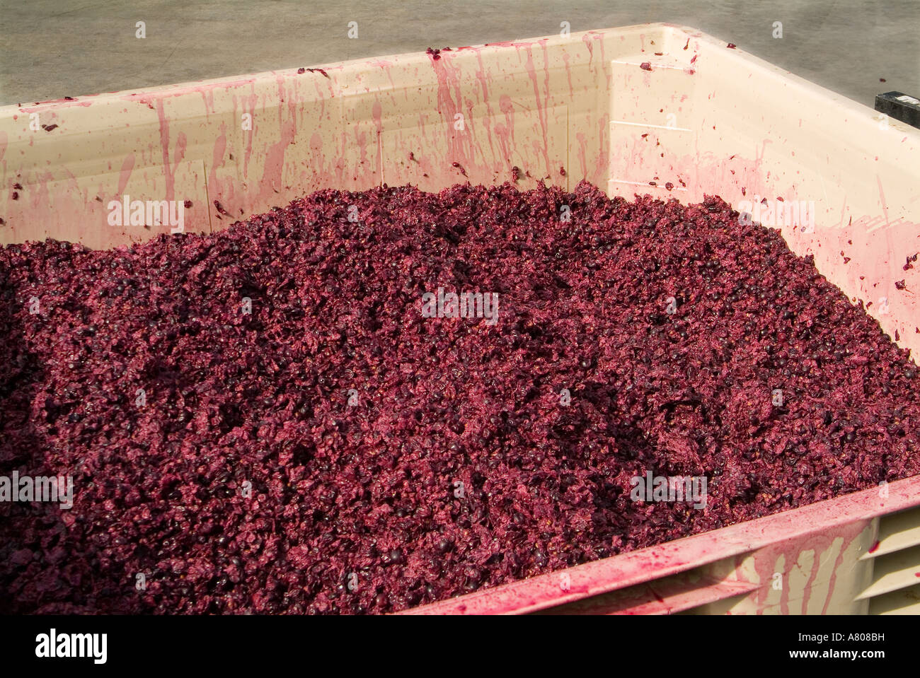 Red skins of grapes that have been processed at Maryhill Winery near ...