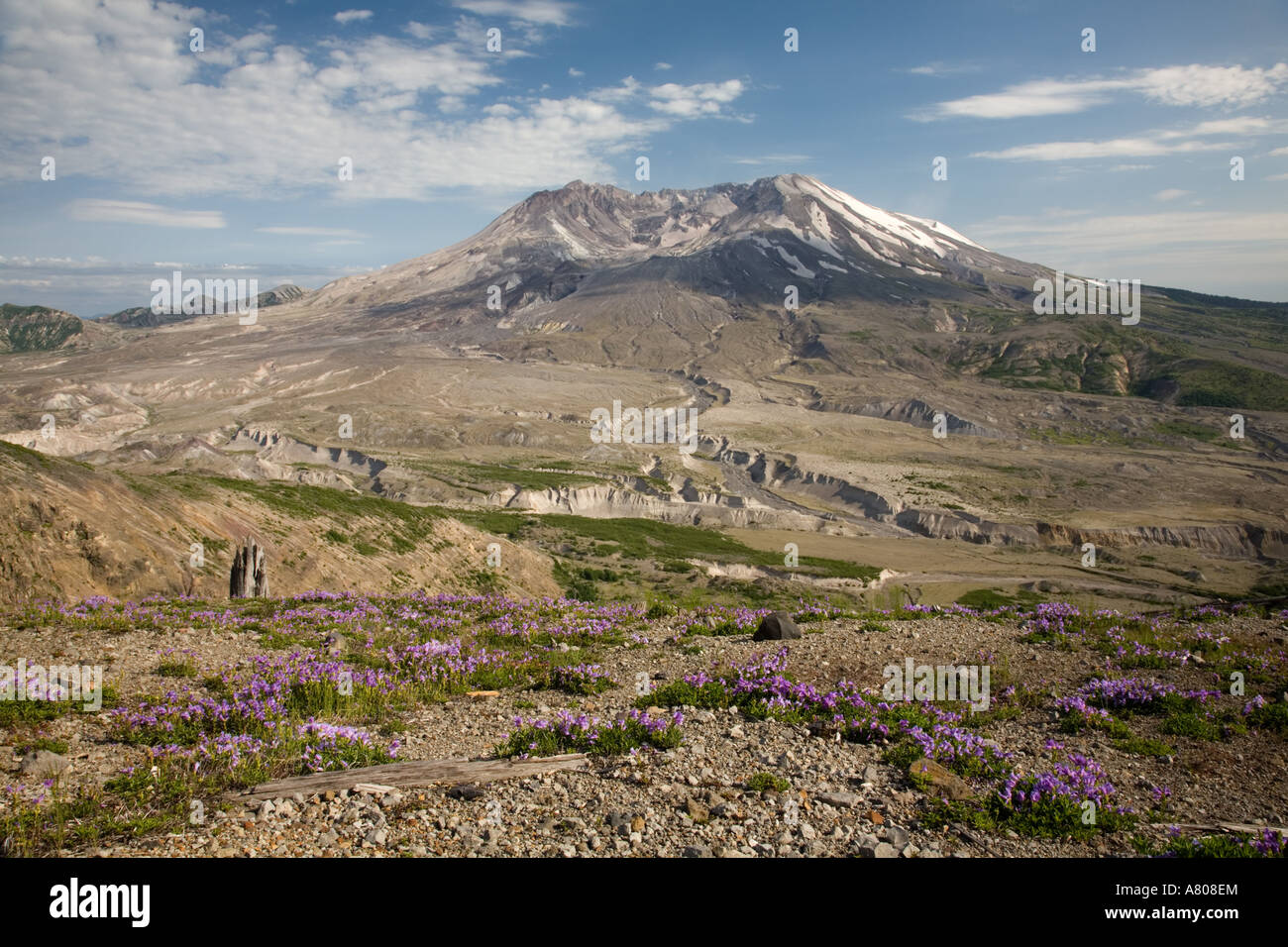 Pumice mount st. helen’s hi-res stock photography and images - Alamy