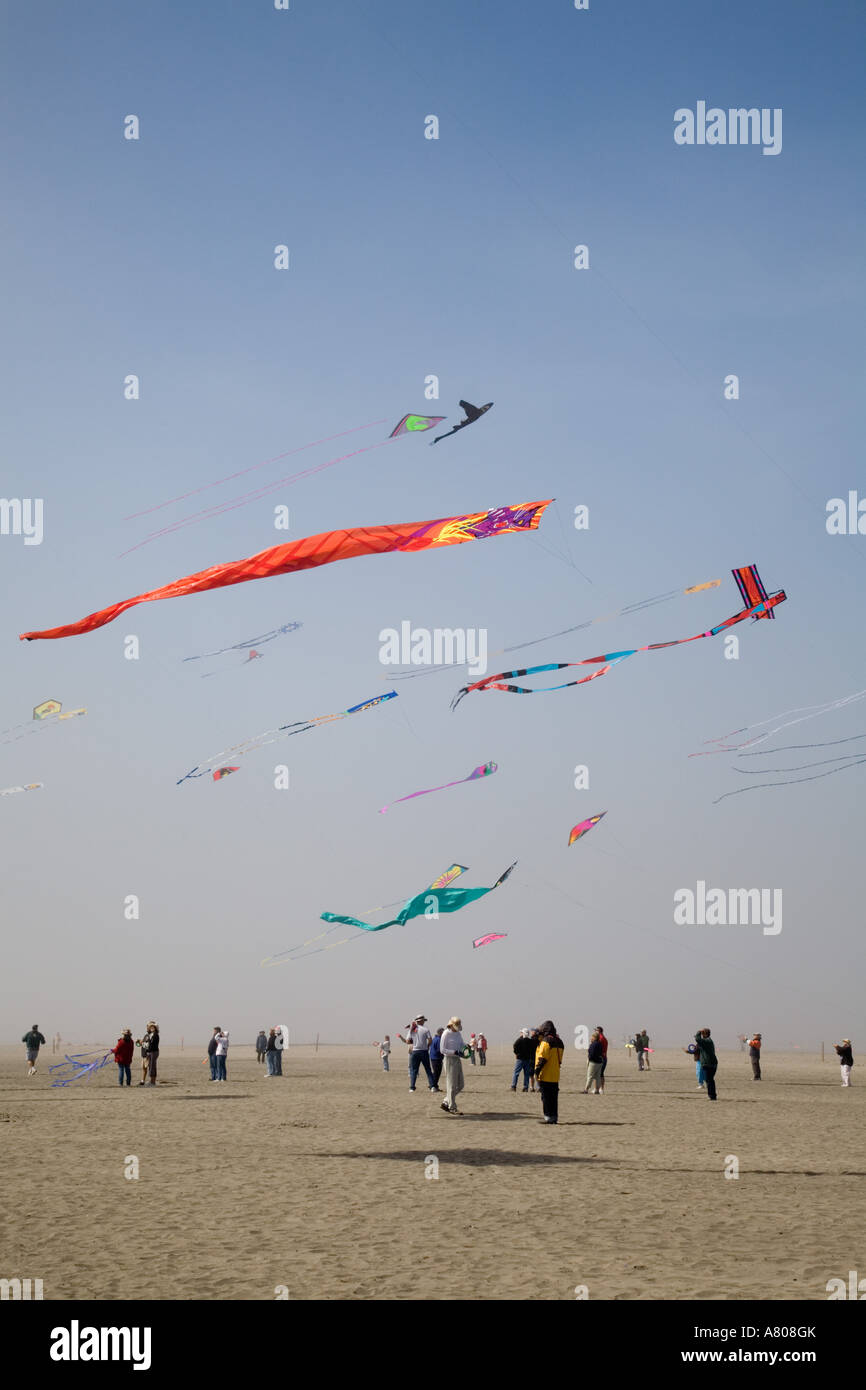 Bowed Kite
