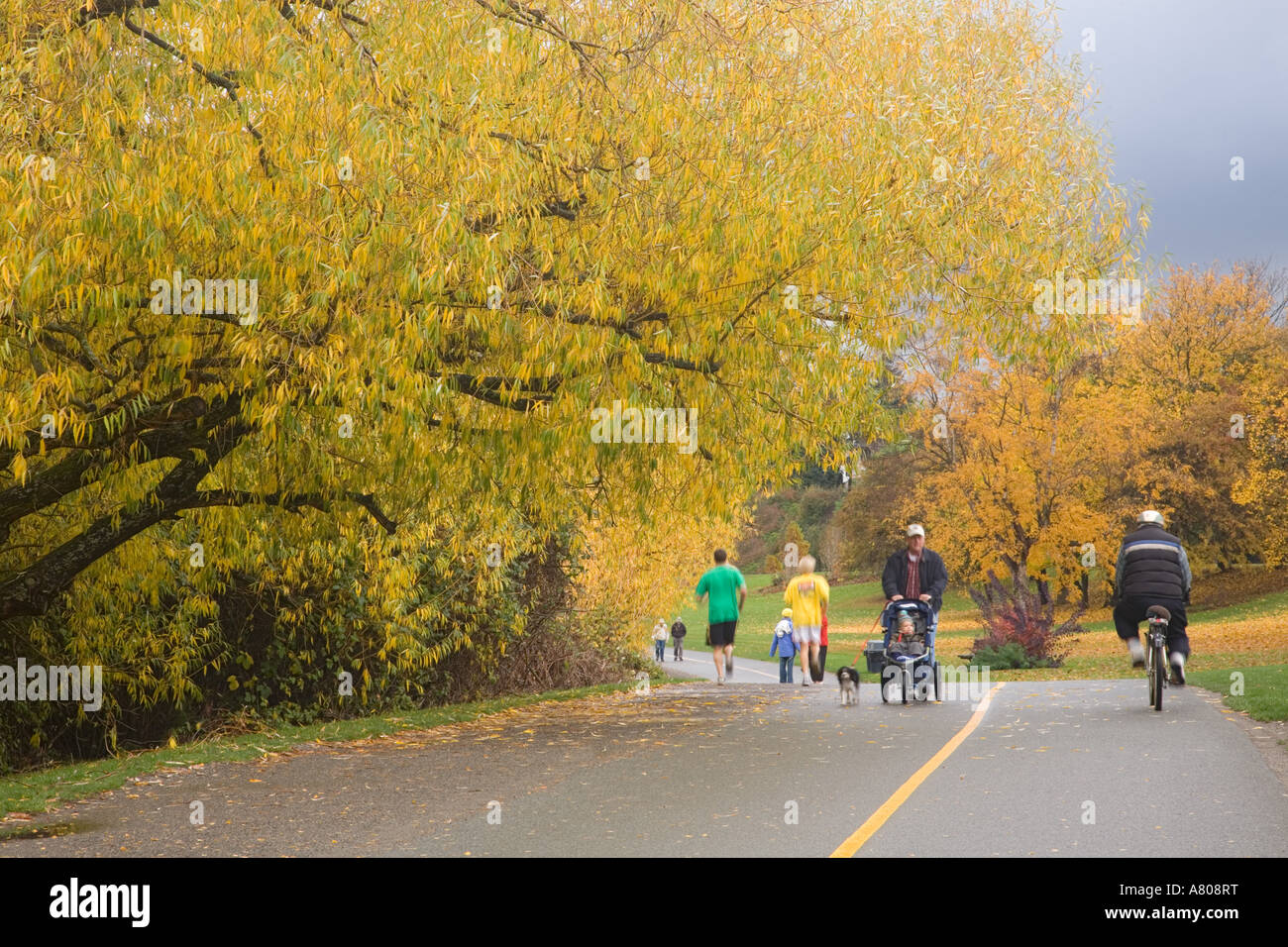 WA, Seattle, Autumn at Green Lake Stock Photo - Alamy