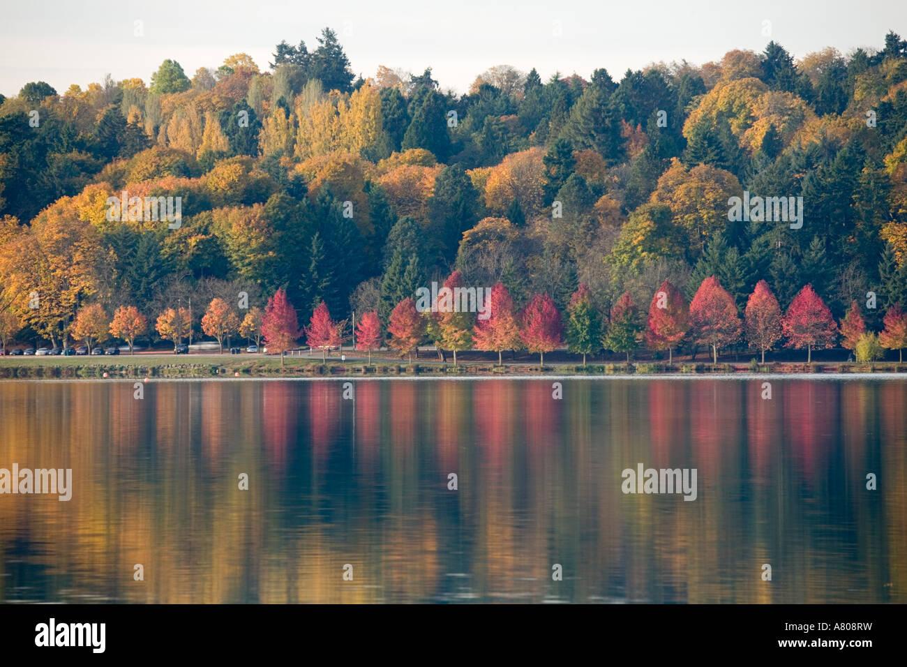 WA, Seattle, Autumn at Green Lake Stock Photo - Alamy