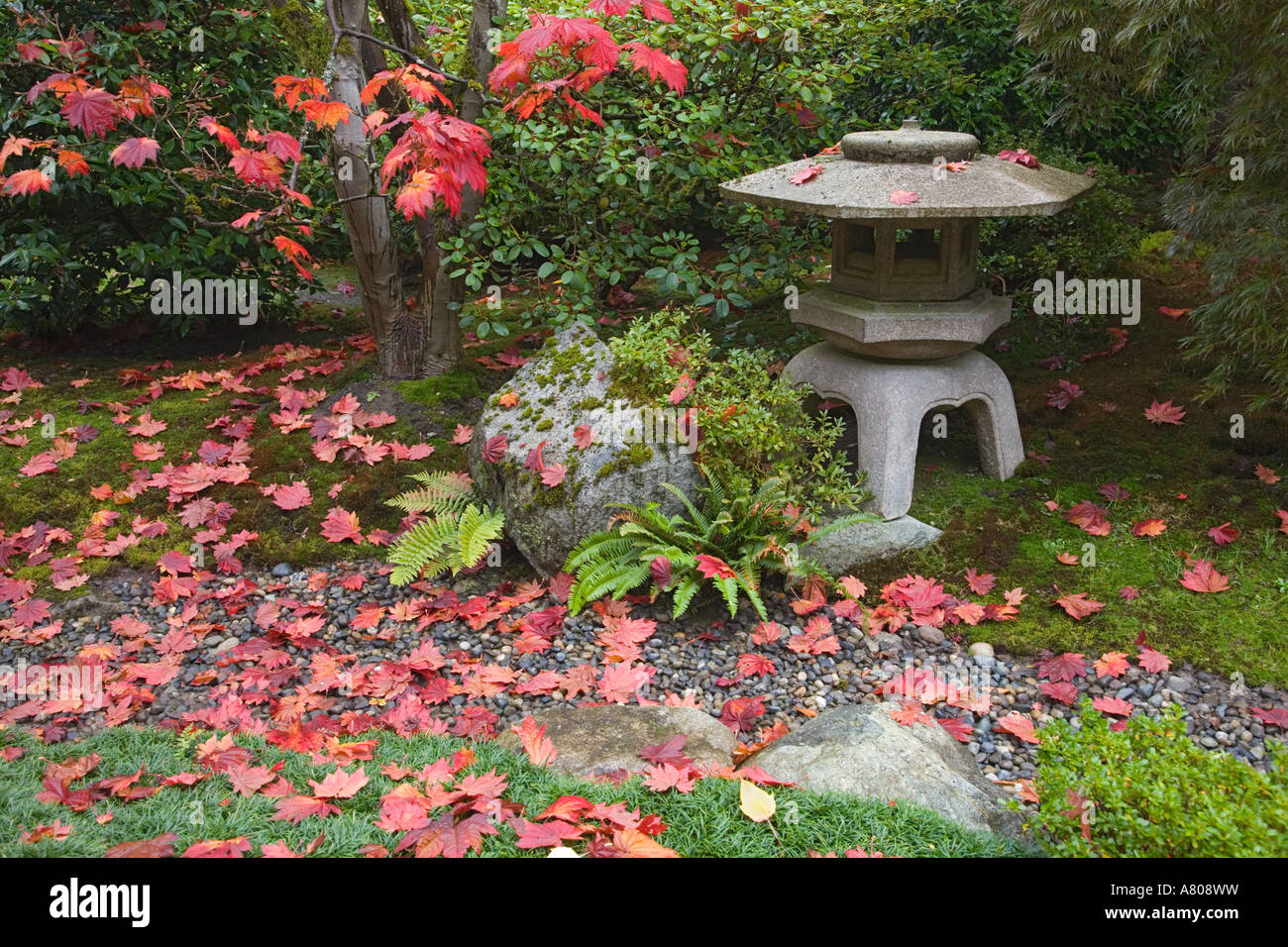 Seattle washington park arboretum hi-res stock photography and images ...