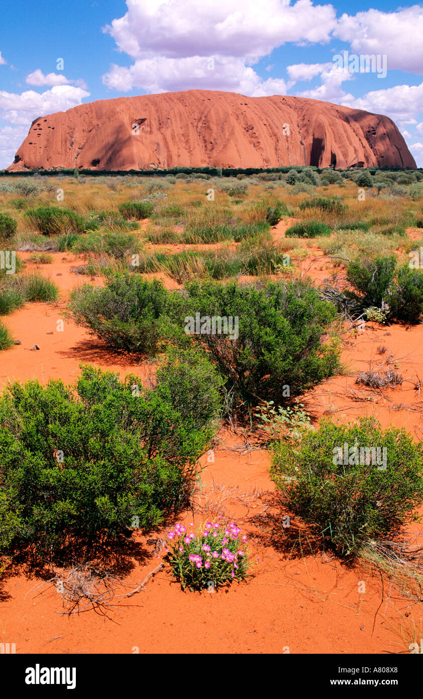 Australia, Northern Territory, monolith Uluru (Ayers Rock) Uluru ...