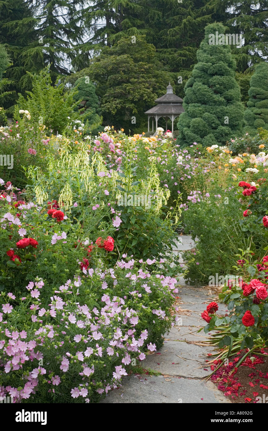 WA, Seattle, Roses in bloom and gazebo at the Rose Garden at the ...