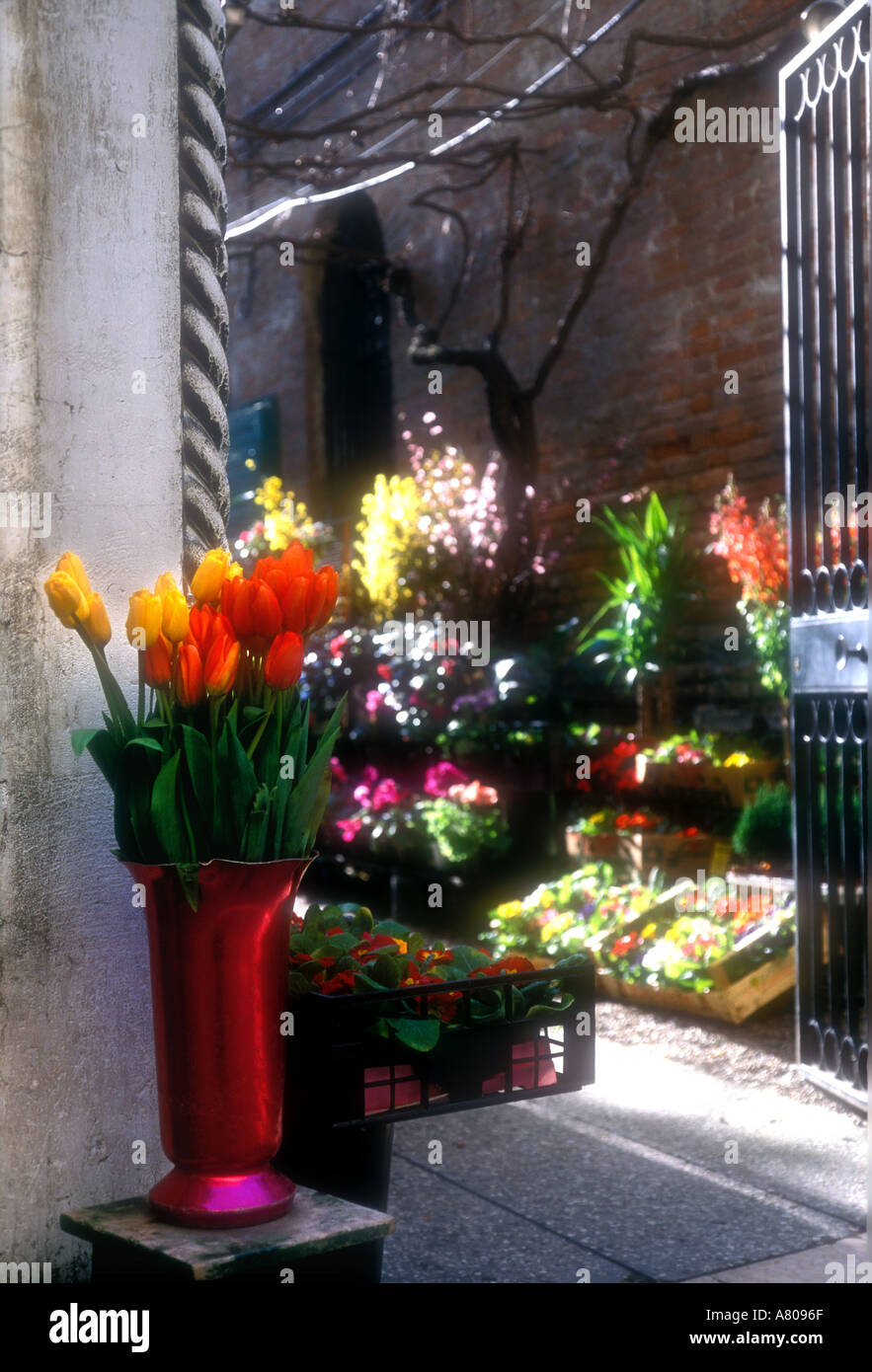 Venetian flower shop hi-res stock photography and images - Alamy