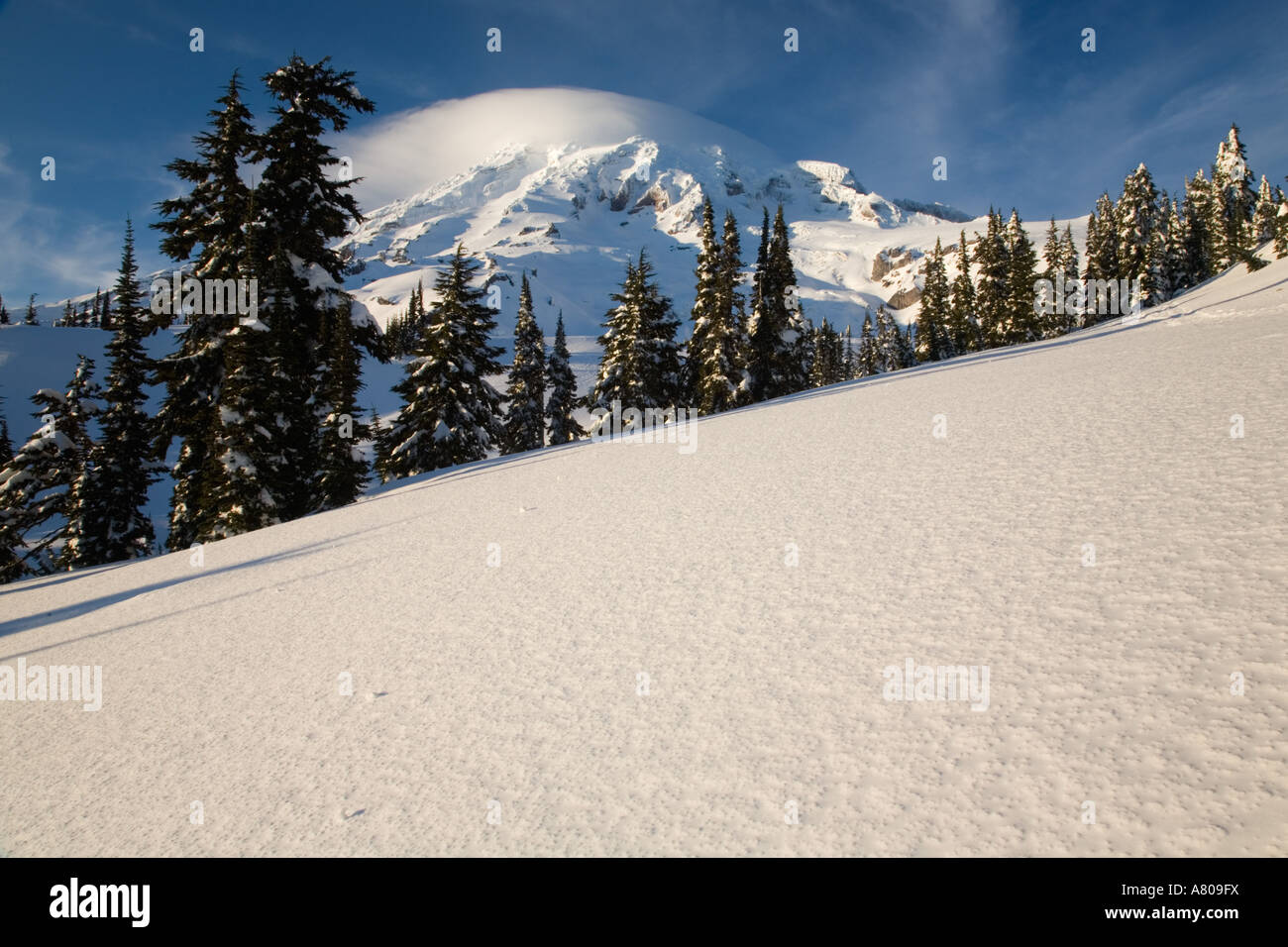 WA, Mt. Rainier NP, Mt. Rainier after winter snowstorm Stock Photo - Alamy