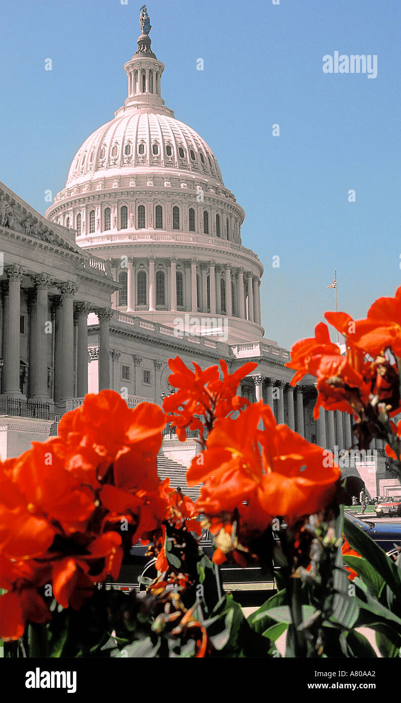 Washington dc summertime hi-res stock photography and images - Alamy