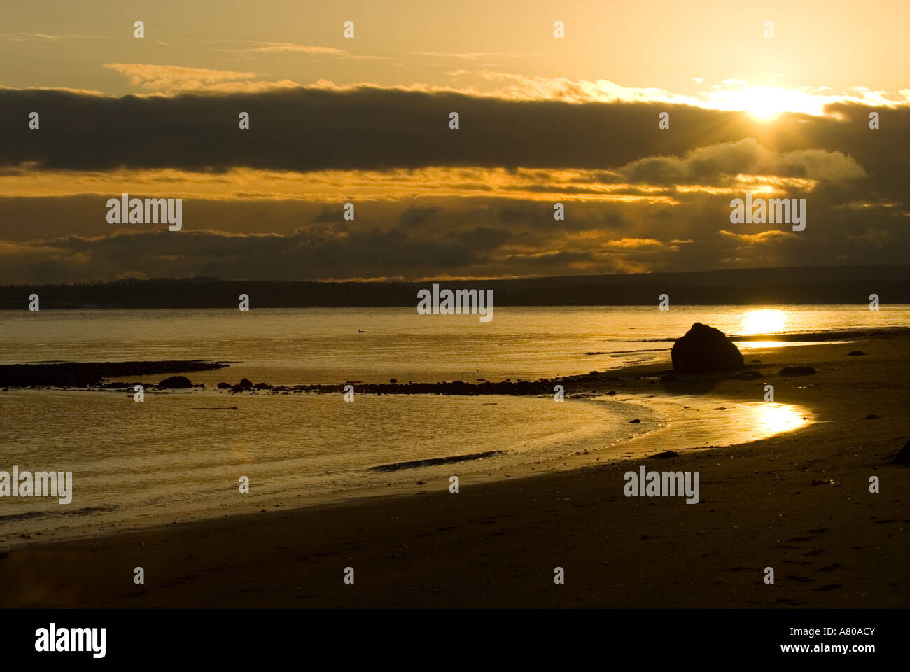 Whidbey island and walking hi-res stock photography and images - Alamy