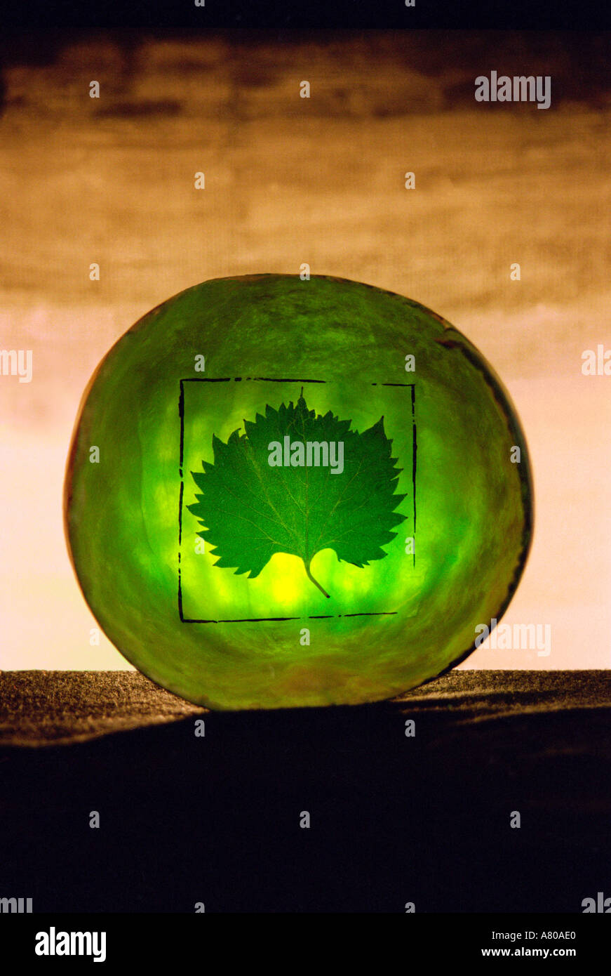 Watermelon and a grape leaf. Metaphor of ecology, energy saving or ...