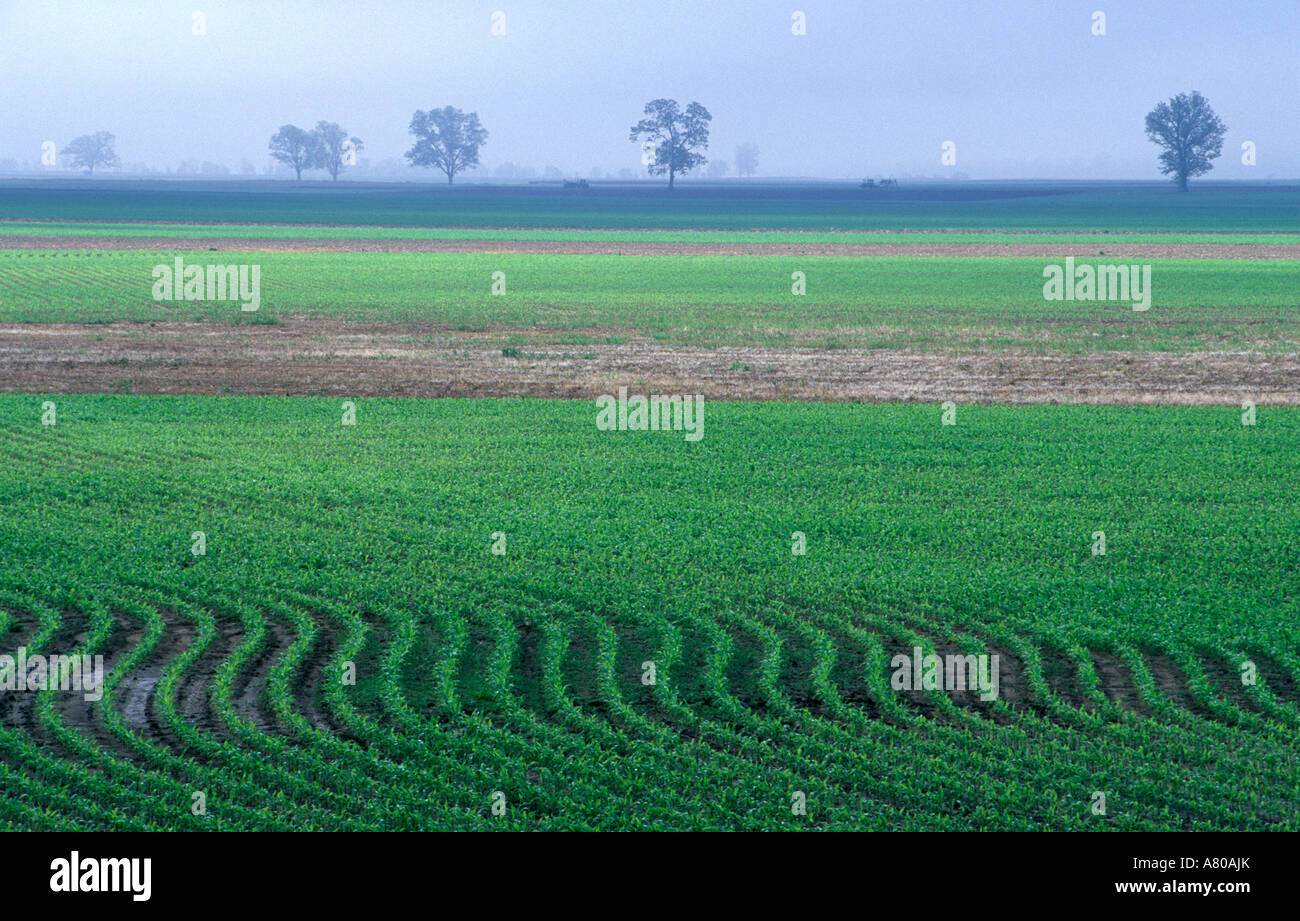 Spring plowed field of crops Stock Photo - Alamy