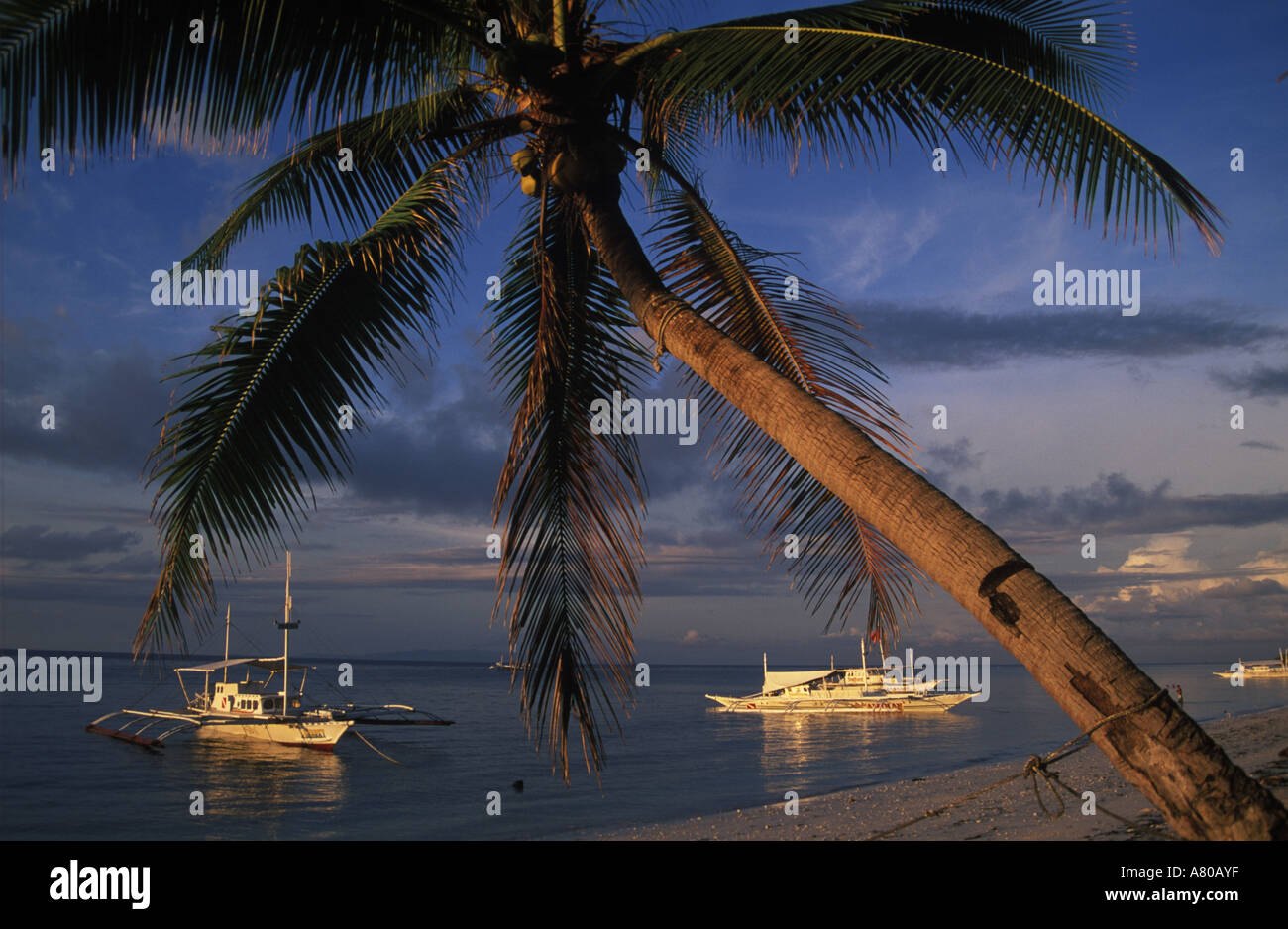 Philippines island beach bohol hi-res stock photography and images - Alamy