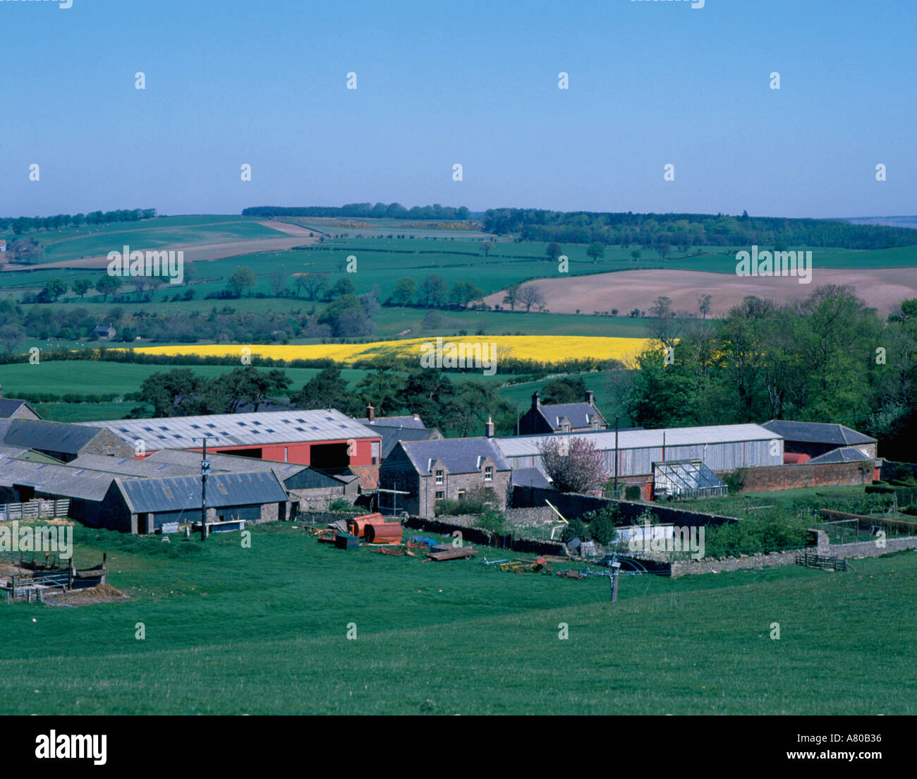 North middleton wooler hi-res stock photography and images - Alamy