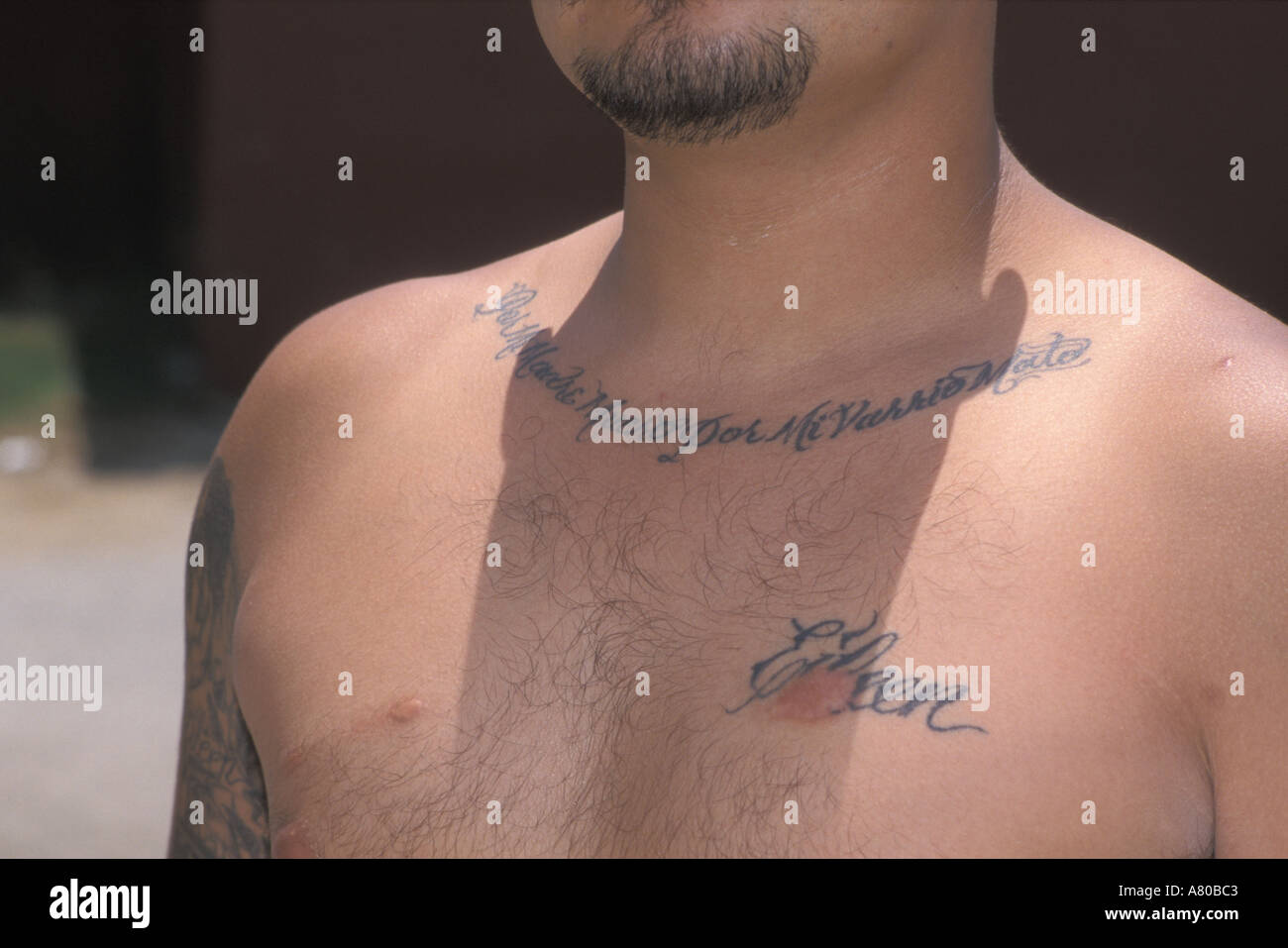 Shotgun wounds on chest Latino gangs Los Angleles United States of ...