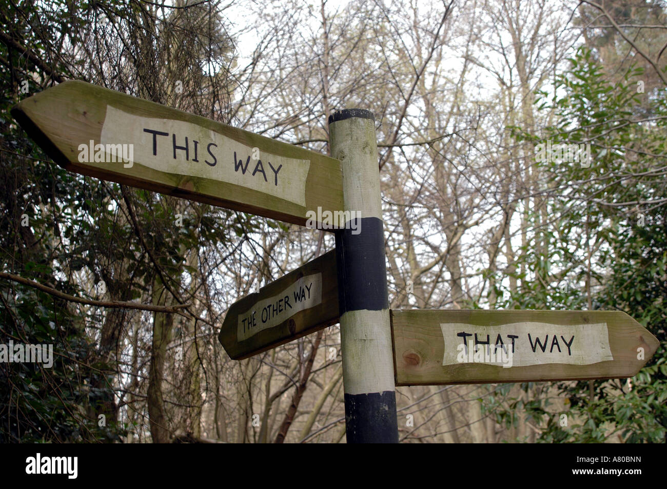 This way sign Stock Photo - Alamy