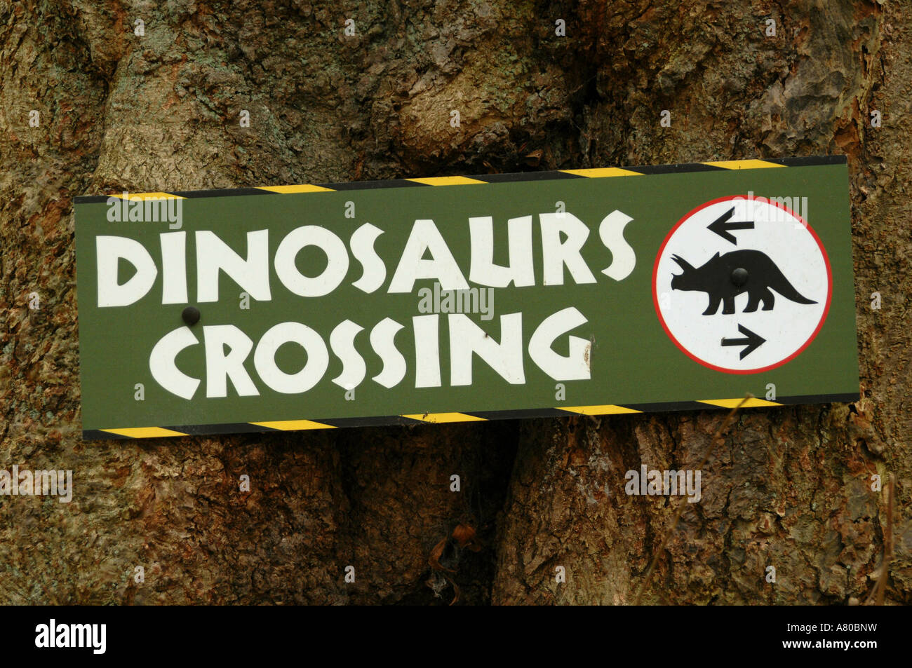 Dinosaurs crossing sign Stock Photo - Alamy