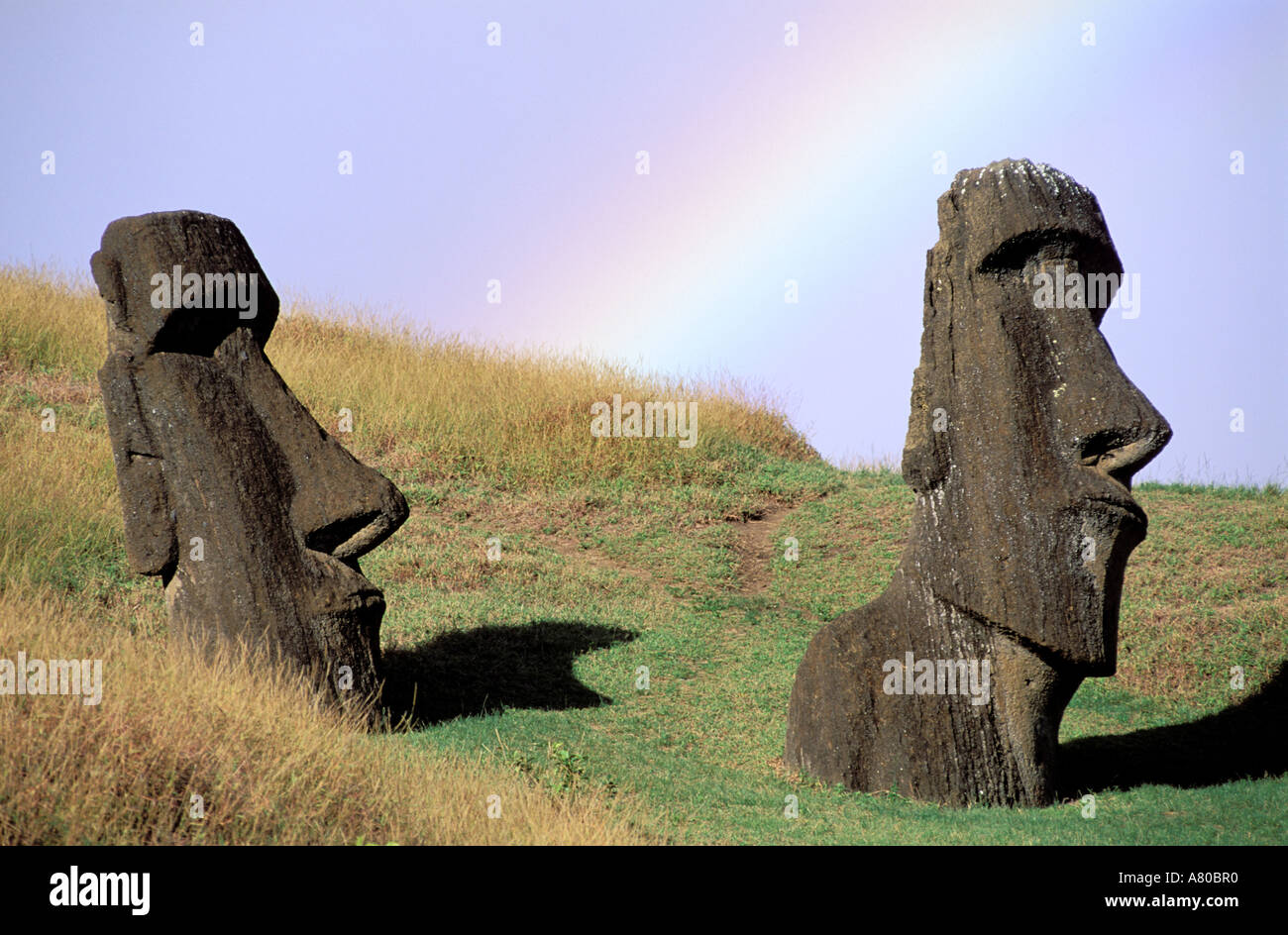 Chile, Easter Island, rainbow and Moai statues carved out of big rocks ...