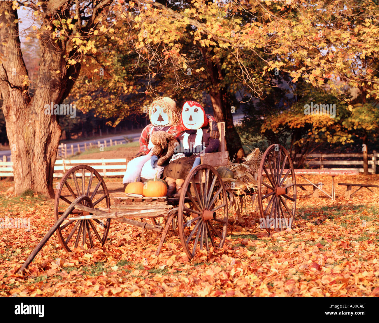 Two scarecrows hi-res stock photography and images - Alamy