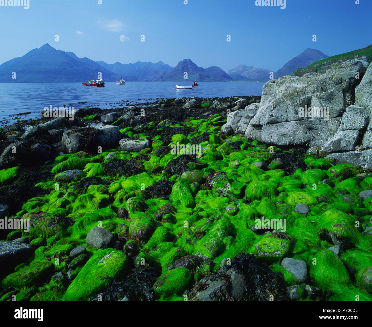 Village of Elgol Isle of Skye Highlands Scotland Stock Photo - Alamy