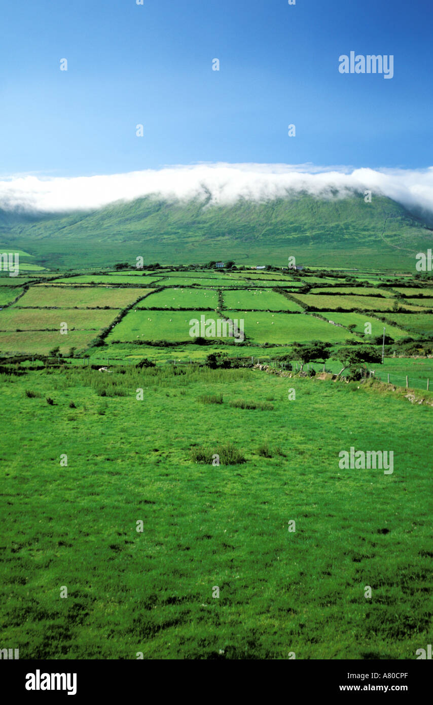 Ireland, Kerry county, Brandon Mountains Stock Photo - Alamy