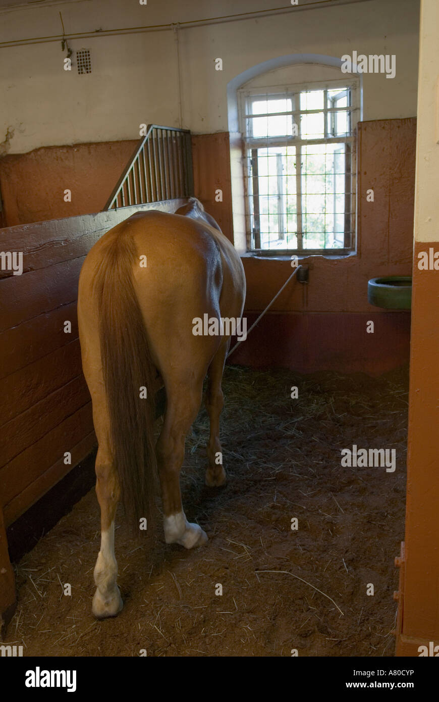 Stabel hi-res stock photography and images - Alamy