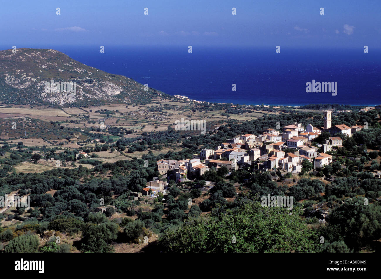 France, Haute Corse, Aregno village in Balagne region Stock Photo - Alamy