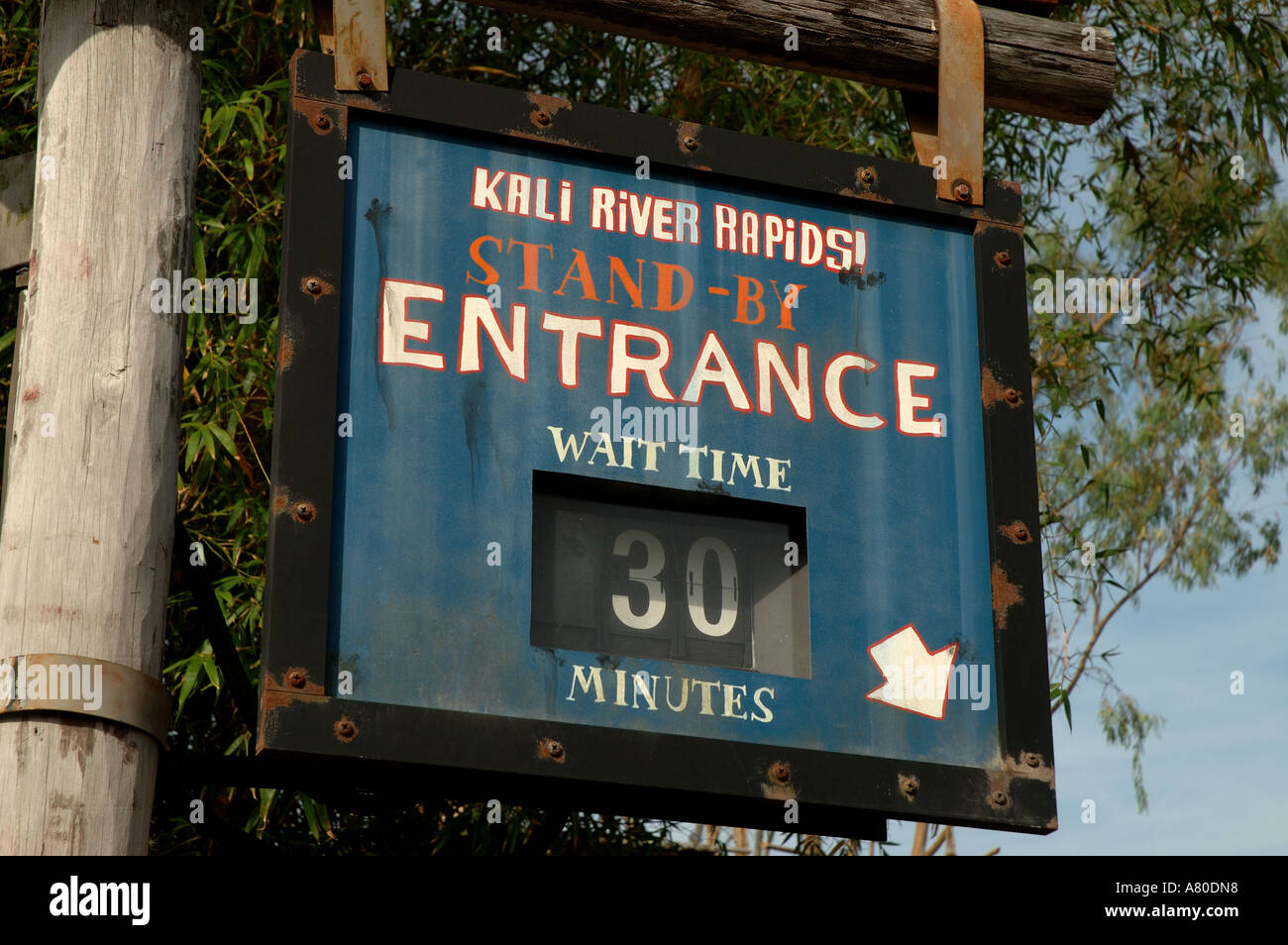 Wait time at disney hi-res stock photography and images - Alamy