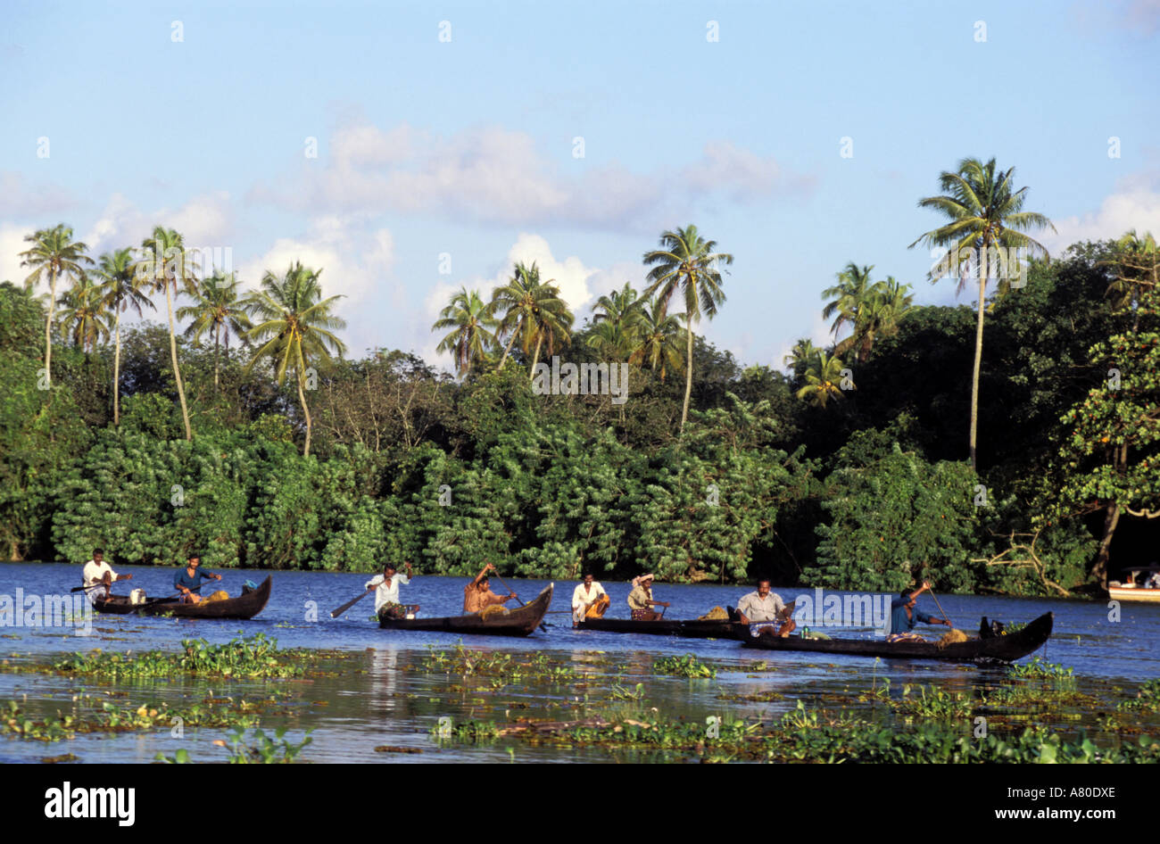India, Kerala, boat on Backwaters Stock Photo - Alamy