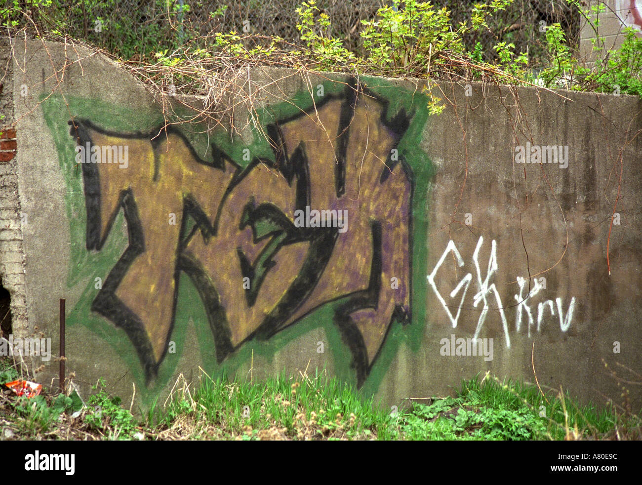 Graffiti on Cinco de Mayo parade route. St Paul Minnesota USA Stock ...