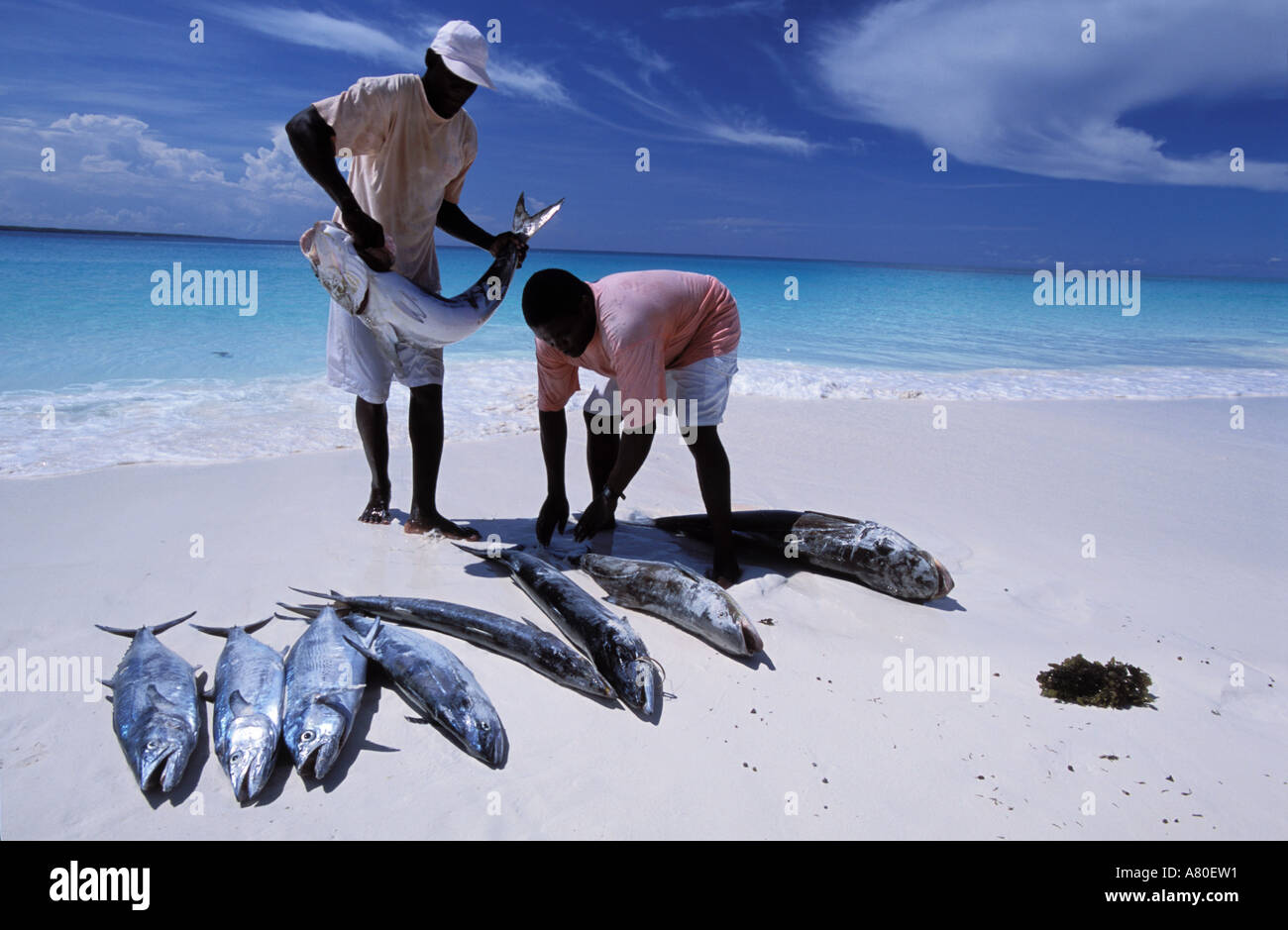 Tanzania, Zanzibar Archipel, fishing by day Stock Photo - Alamy