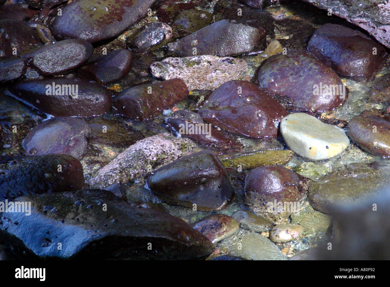Rocks in Water Stock Photo - Alamy