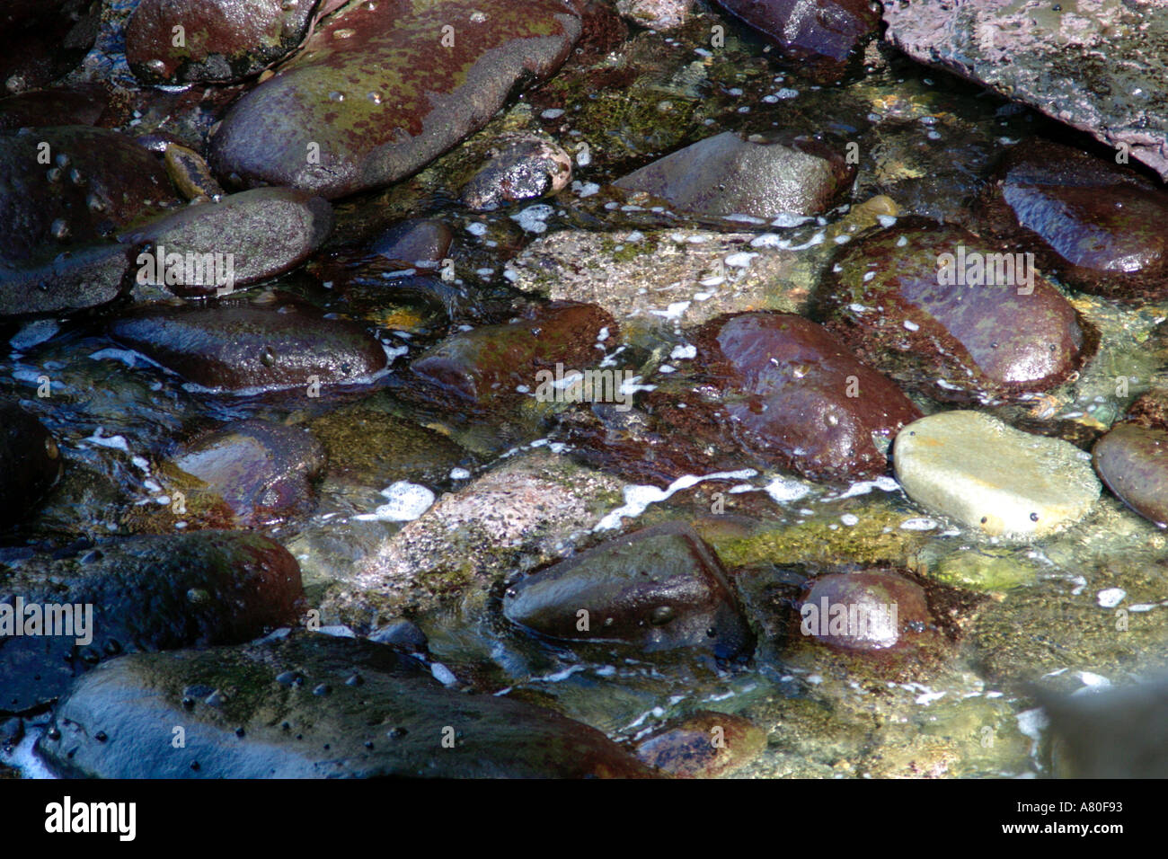 Etched rocks hi-res stock photography and images - Alamy