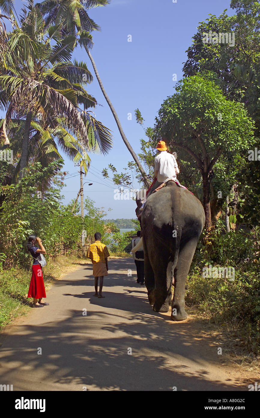 Elephant ride kerala hi-res stock photography and images - Alamy