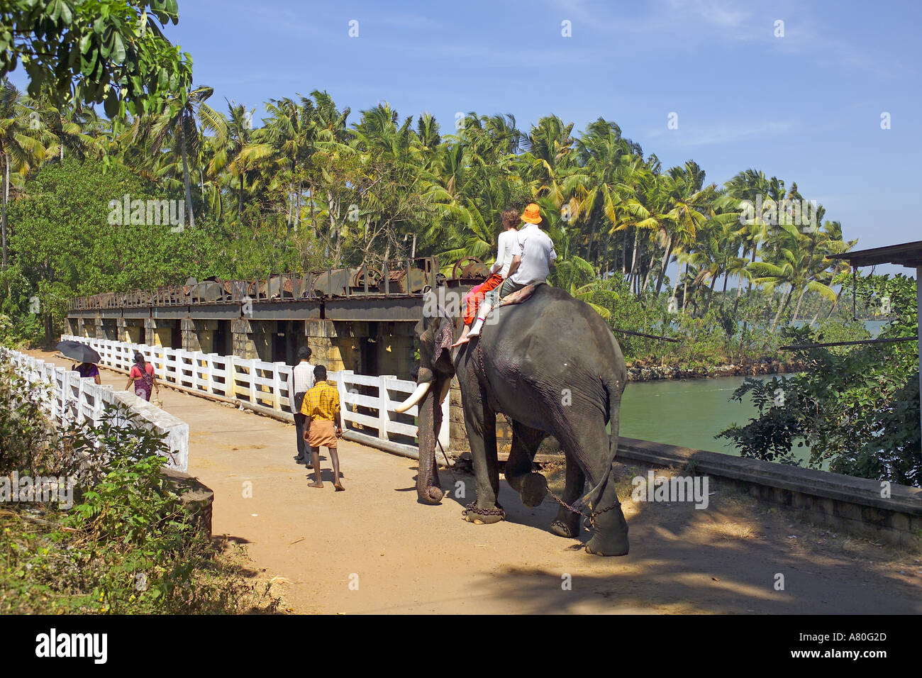 Kerala, Elephant Ride Stock Photo - Alamy