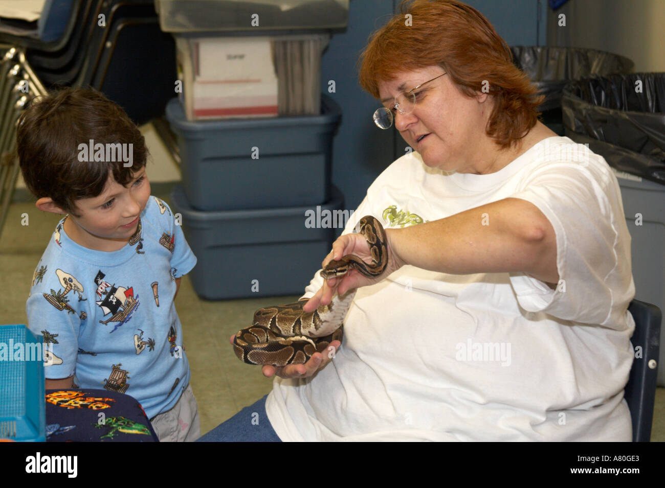 A snake owner showing a ball python to a young boy Stock Photo - Alamy