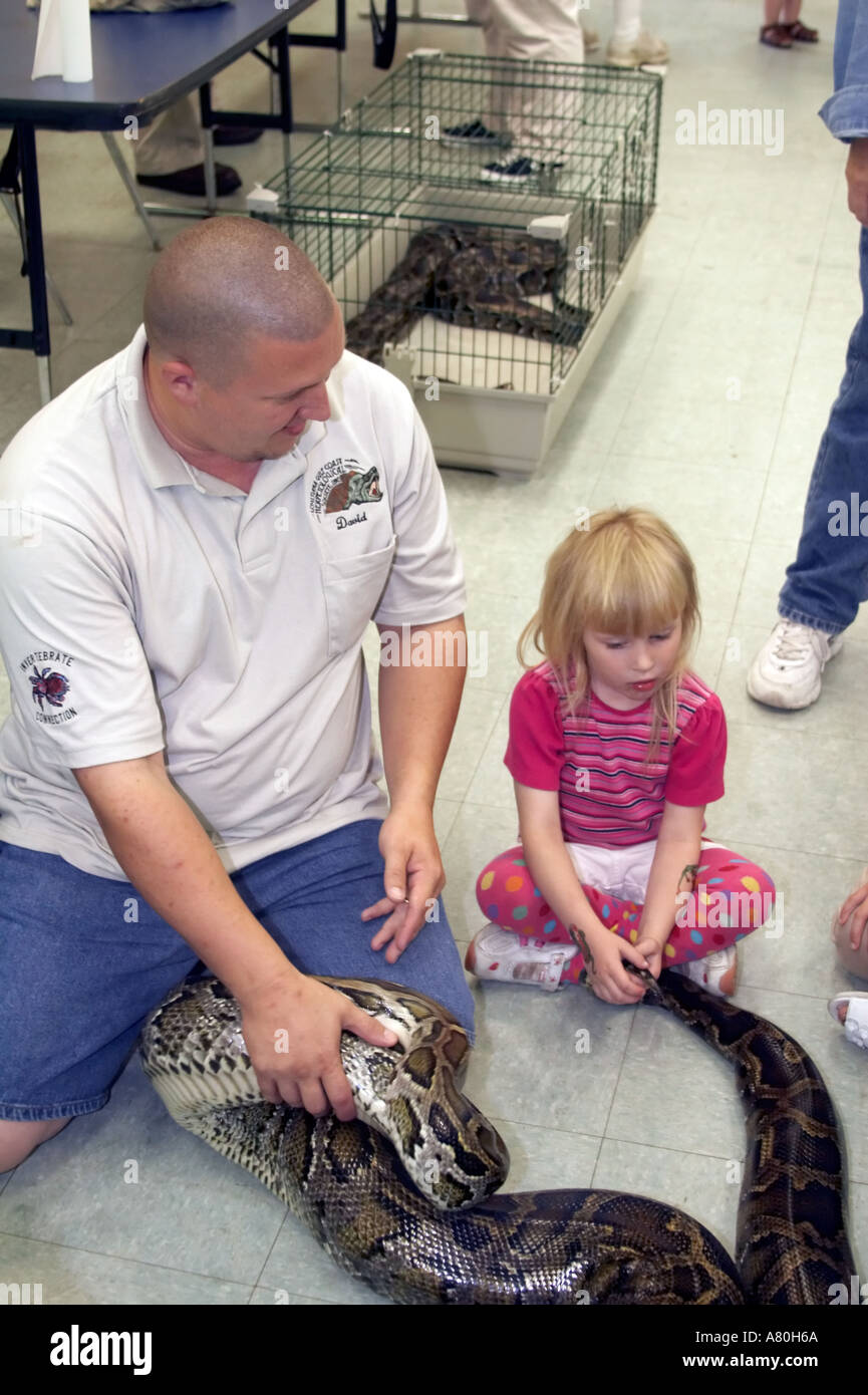 A snake owner showing his burmese python Stock Photo - Alamy