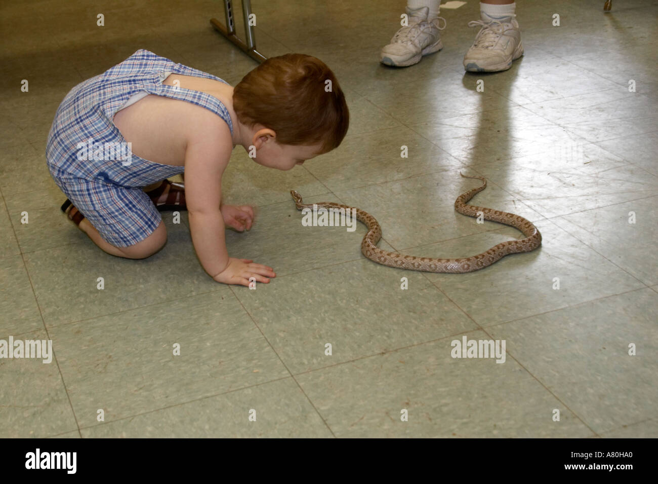 Funny boy snake hi-res stock photography and images - Alamy