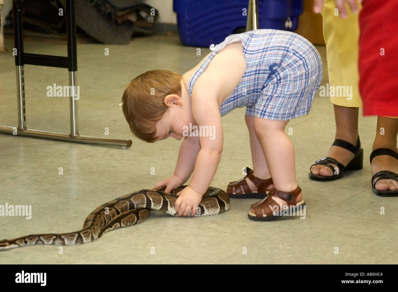 Boy With Python Stock Photos & Boy With Python Stock Images - Alamy