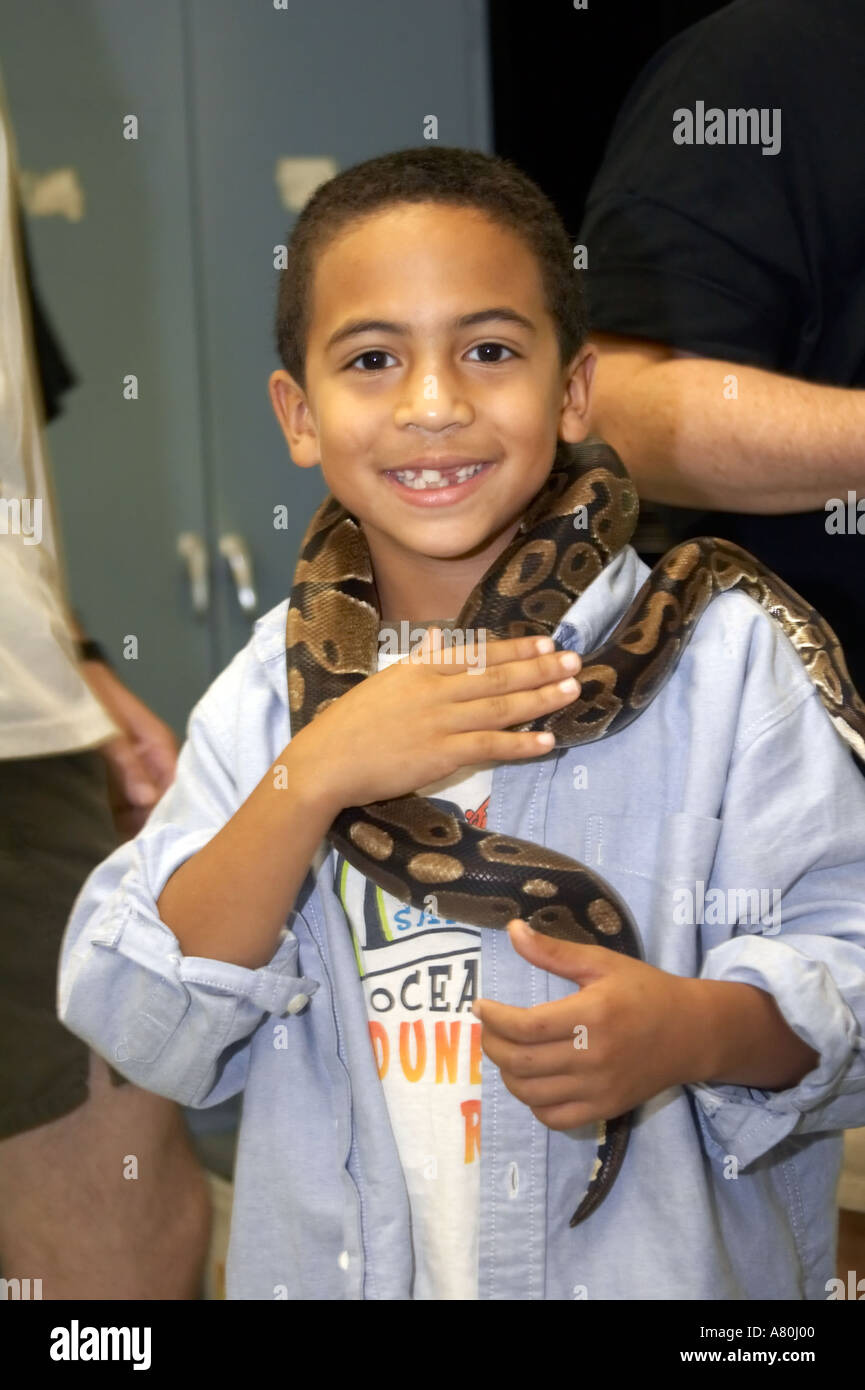 Young african american boy holding a ball python on his shoulders Stock ...