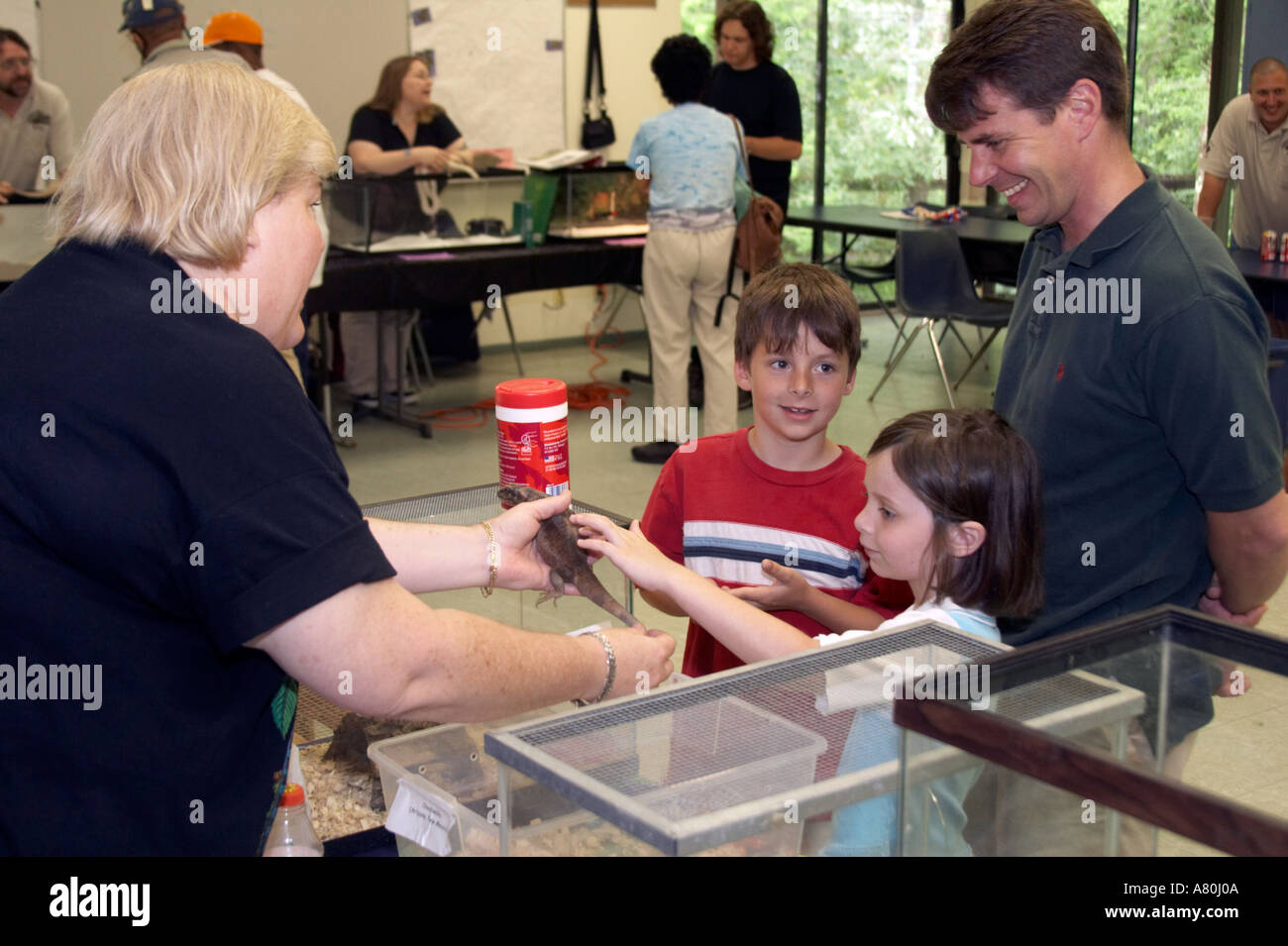 Reptile owner showing a chuckwalla to children during a reptile show ...