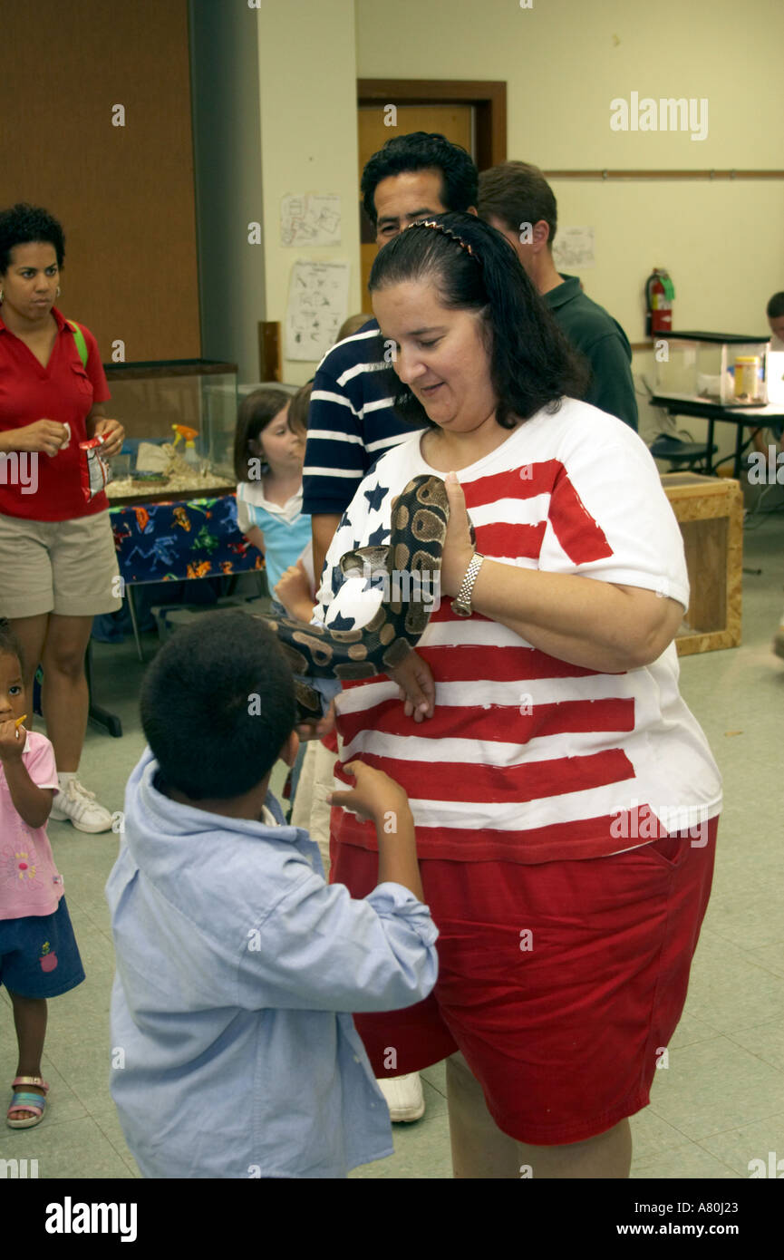 Reptile owner showing a ball python to a child during a reptile show ...