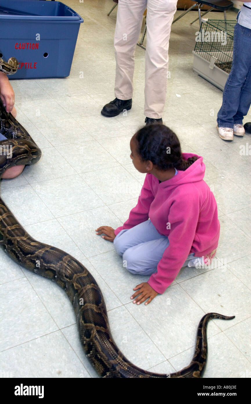 Burmese american usa hi-res stock photography and images - Alamy