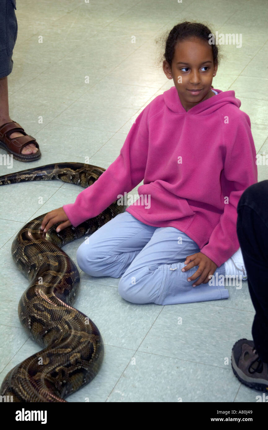 Burmese Python Full Grown