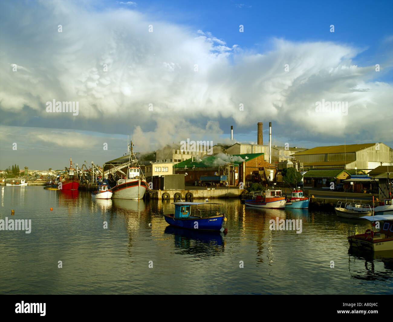 Western Cape, Lambert's Bay Stock Photo - Alamy