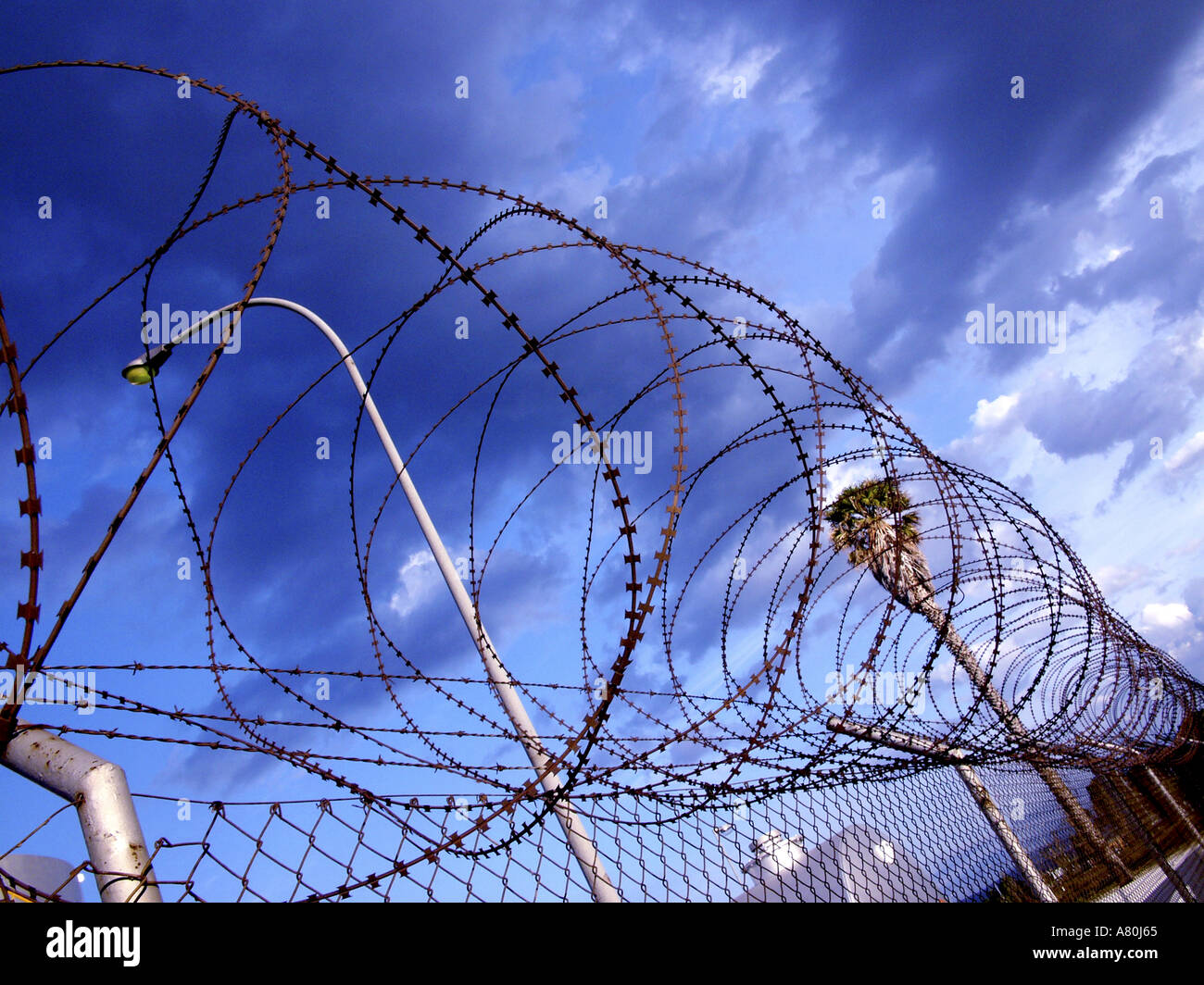 Cape Peninsula, Barbed Wire Compound Stock Photo - Alamy