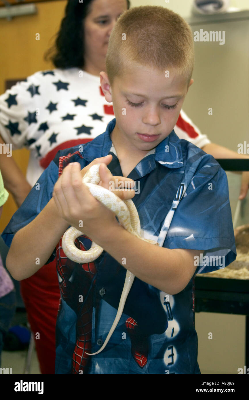 Corn snake boy hi-res stock photography and images - Alamy