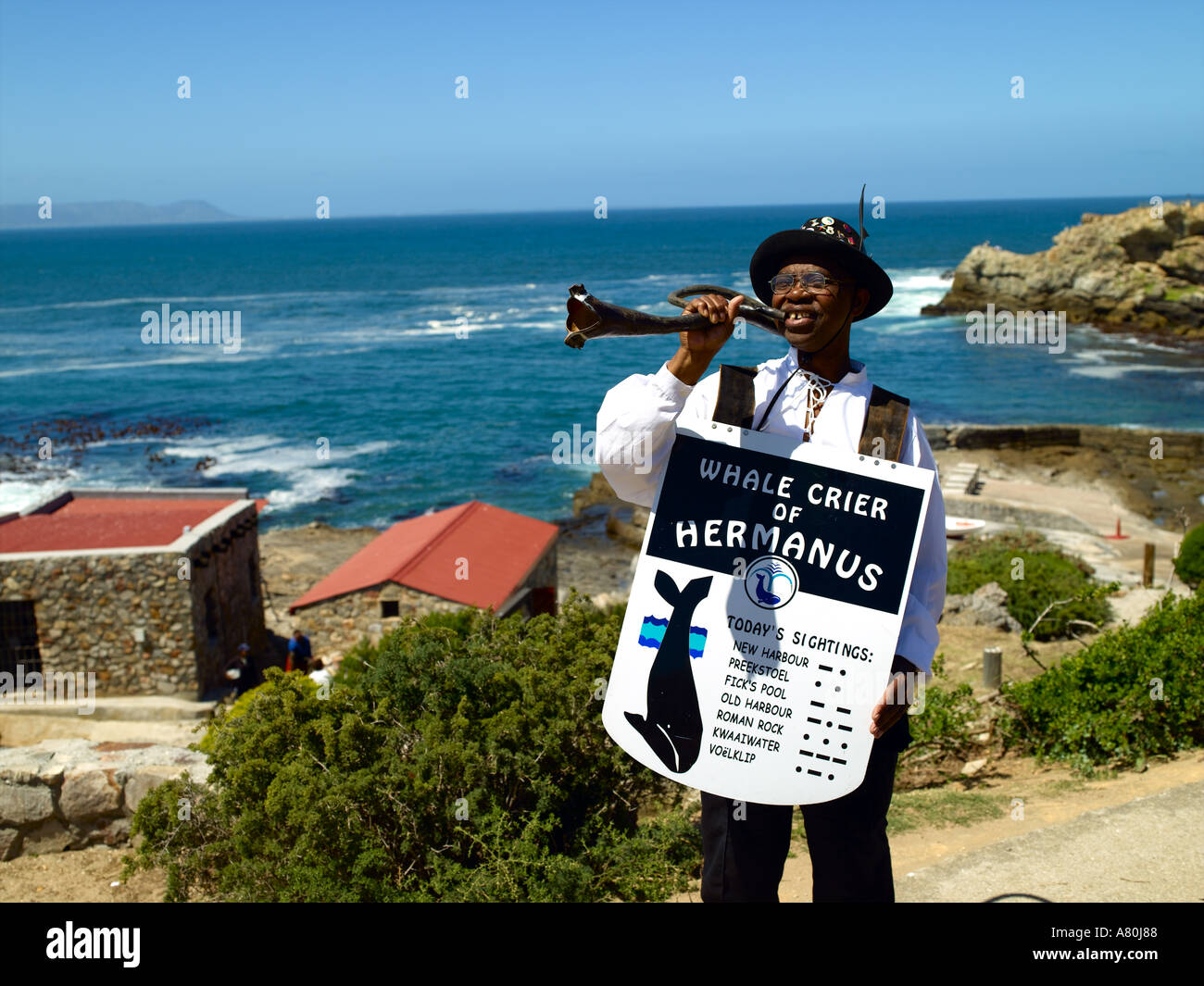The whale crier of hermanus hi-res stock photography and images - Alamy